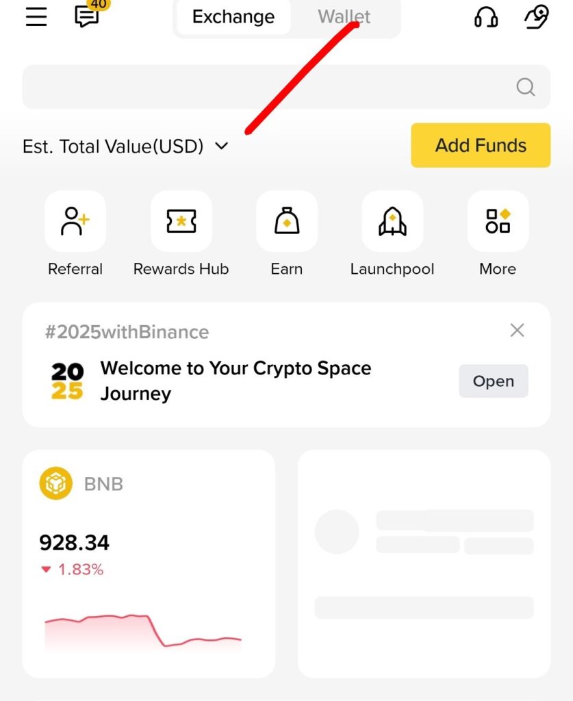 Binance Alpha Lists Moonbirds (BIRB): Claim Airdrop Jan 28