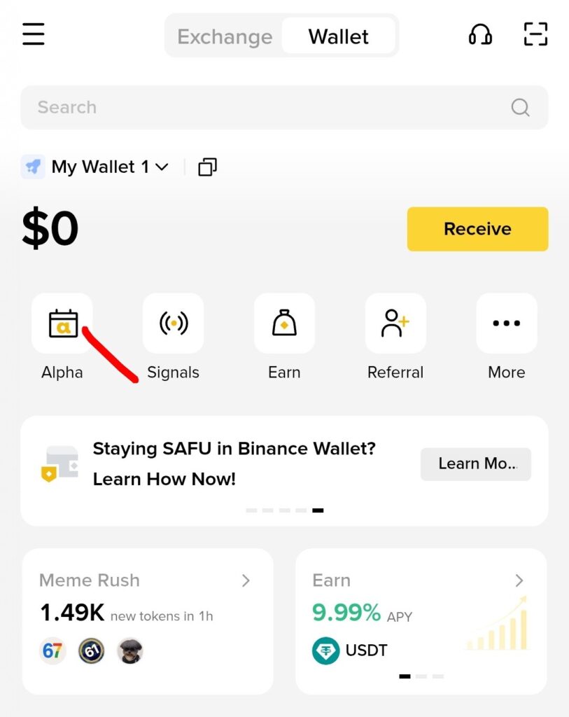 Binance Alpha Lists Moonbirds (BIRB): Claim Airdrop Jan 28